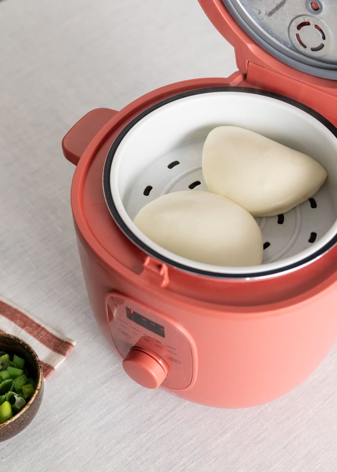 RICE COOKER STUDIO - Cuisseur à riz électrique 2L avec panier vapeur ...