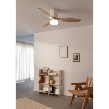 Special Prices - Create