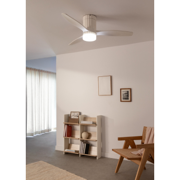 Modern ceiling fans with light - Create