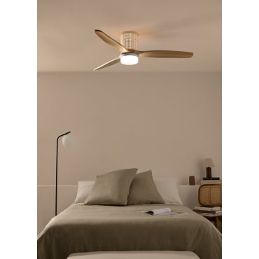 Modern ceiling fans | Silent ceiling fans - Create