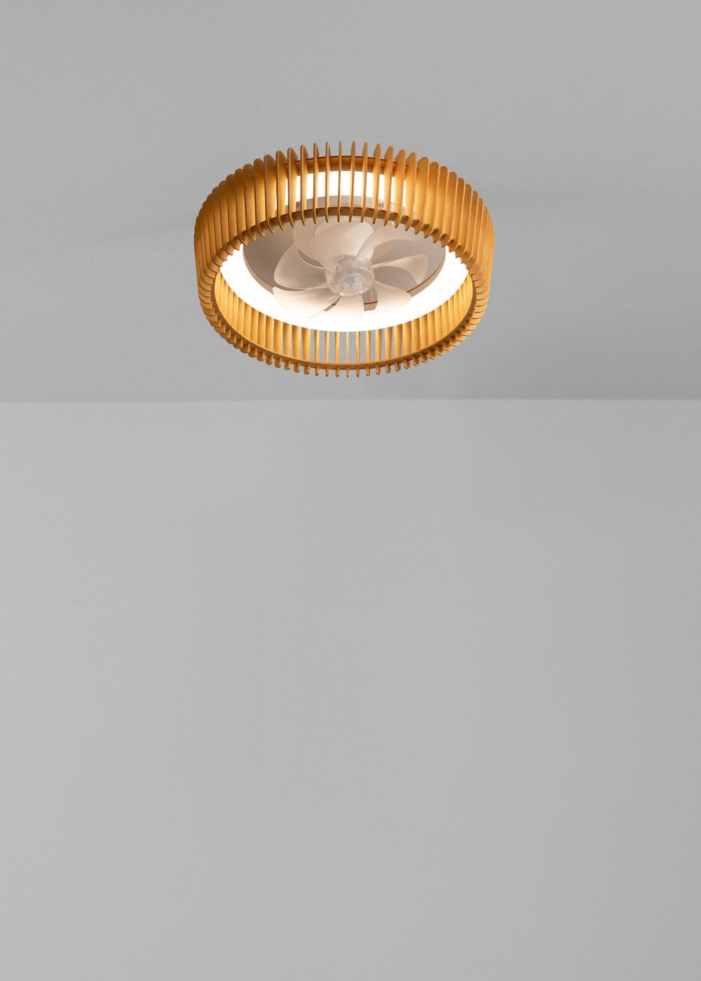 Ceiling fan 20W silent Ø58cm directional blades with LED light - WIND ...